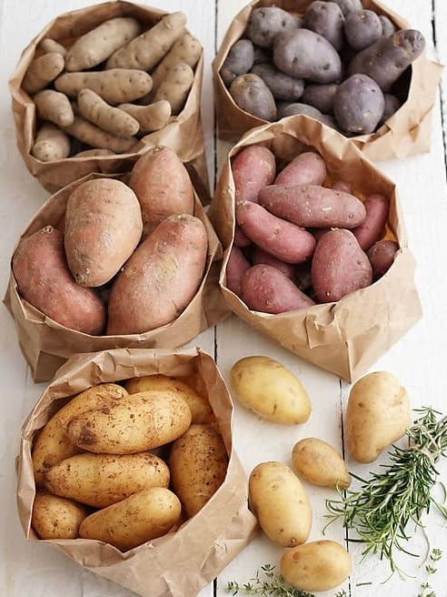 Farmers Market Collection: SETS – Explorer Knits + Fibers